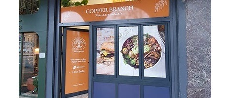 Focus sur le concept de la franchise Copper Branch